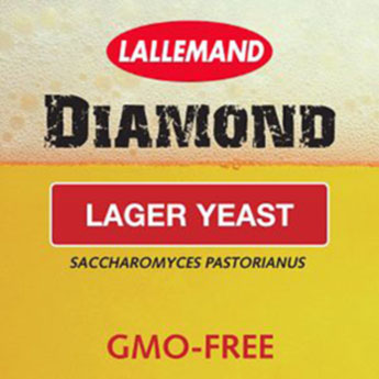 Diamond Lager Levure Bières Lager type allemande
